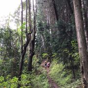 HAU’ULA LOOP TRAIL - 126 Photos & 20 Reviews - 54-55 Maakua Rd, Hauula ...
