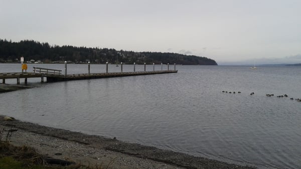 FREELAND PARK - Updated September 2025 - 10 Photos - 1535 E Shoreview ...