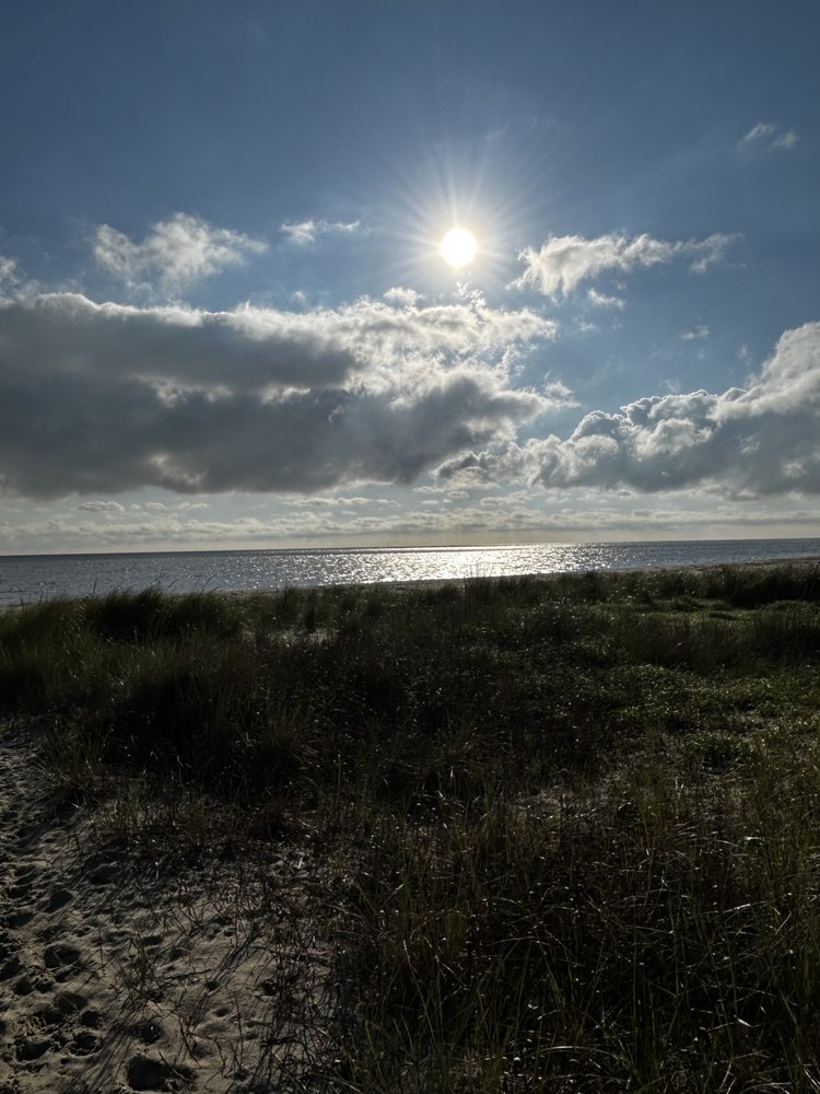 THE BROADKILL STORE - Updated November 2025 - 37 Reviews - 2 S Bay ...