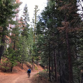 MERCED GROVE TRAIL - Updated May 2026 - 38 Photos - Yosemite National ...
