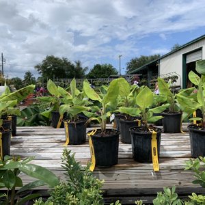 THE BUSHEL STOP - Updated August 2024 - 26 Photos & 27 Reviews - 2620 ...