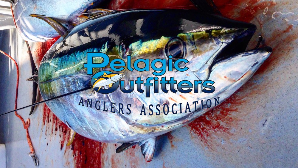 PELAGIC OUTFITTERS - Updated January 2026 - 376 W Montauk Hwy ...