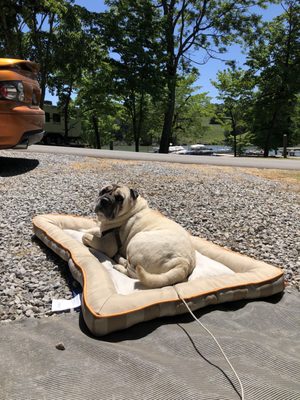 YARBERRY CAMPGROUND - Updated April 2024 - 33 Photos & 13 Reviews ...