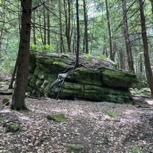 Trophy Rack Lodge - Trusted Since 2024 - Updated July 2025 - 15 Photos ...