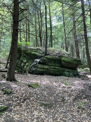 BILGERS ROCKS - Updated December 2025 - 1921 Bilgers Rocks Rd, Grampian ...