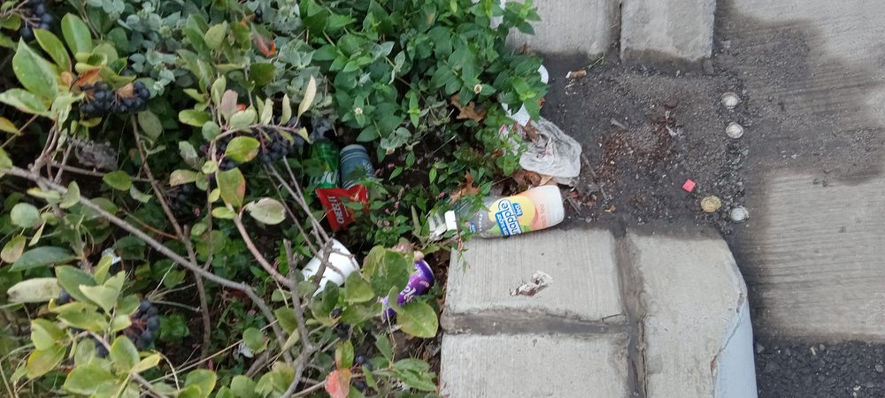 CLEAN RITE CENTER - Updated October 2025 - 61 Photos & 69 Reviews - 621 ...