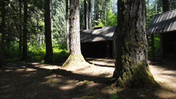 CAMP WILKERSON - Updated August 2025 - 31 Photos - 65866 Apiary Market ...