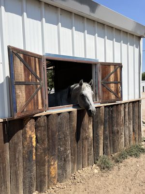 4 HEARTS RANCH - 63 Photos - 16151 US 377 S, Fort Worth, Texas - Horse ...