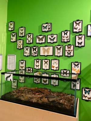 VICTORIA BUG ZOO - Updated June 2025 - 129 Photos & 121 Reviews - 631 ...