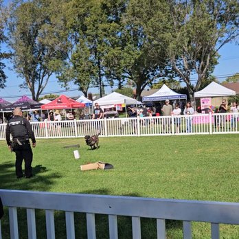 TEWINKLE PARK - Updated July 2025 - 447 Photos & 124 Reviews - 970 ...