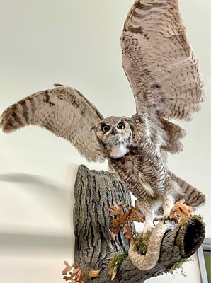 WHITE TANK LIBRARY - Updated December 2025 - 104 Photos & 43 Reviews ...