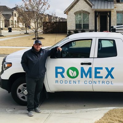 Rodent Control Mckinney Tx
