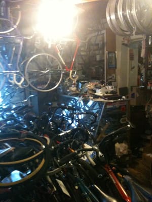 HELOTES BICYCLE - Updated December 2025 - 19 Reviews - 14464 Old ...