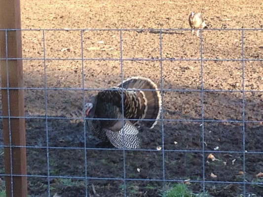 H2H BISON RANCH RV CAMPING - Updated October 2025 - 48 Photos - 30585 S ...