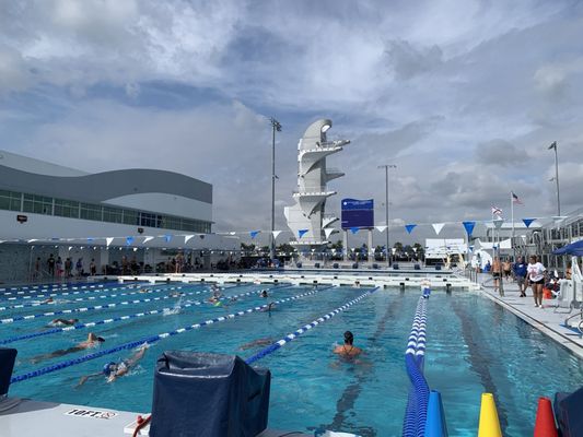 INTERNATIONAL SWIMMING HALL OF FAME - Updated November 2025 - 68 Photos ...