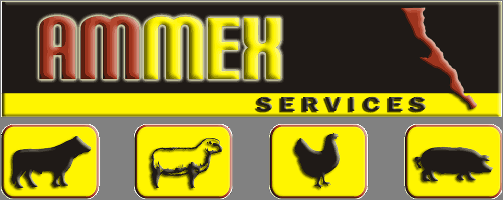 AMMEX SERVICE COMPANY - Updated May 2026 - 7780 Waterville Rd, San ...