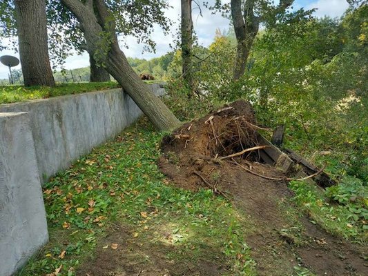 THE STUMP GUY - Updated December 2025 - 34 Photos - Manchester, Iowa ...