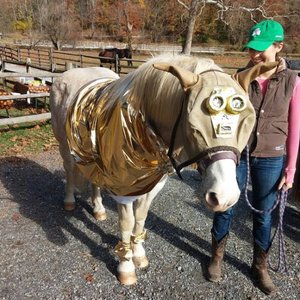 SHEEDER MILL FARM - Updated October 2025 - 96 Photos & 58 Reviews - 12 ...