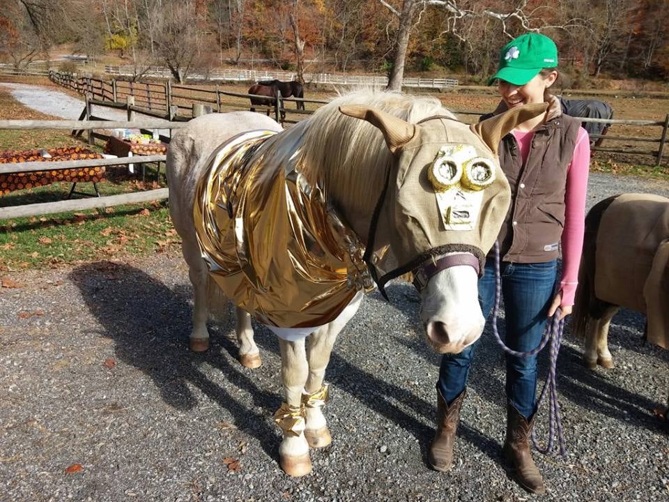 SUNSET VALLEY FARM - Updated January 2026 - 40 Photos - 880 Valley ...