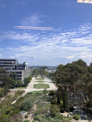 GEISEL LIBRARY - Updated October 2025 - 179 Photos & 75 Reviews - 9500 ...