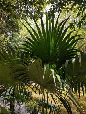 SIMPSON PARK - Updated May 2024 - 175 Photos & 16 Reviews - 5 SW 17th ...