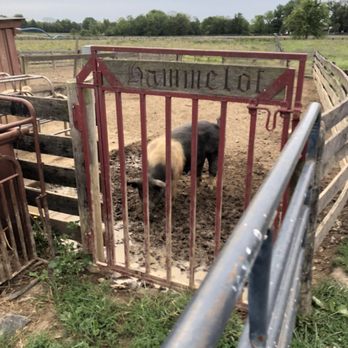 FRYING PAN FARM PARK - Updated March 2025 - 357 Photos & 96 Reviews ...