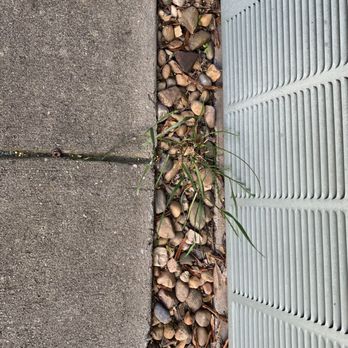 SBB COMMUNITY MANAGEMENT - Updated December 2025 - 17 Photos & 62 ...