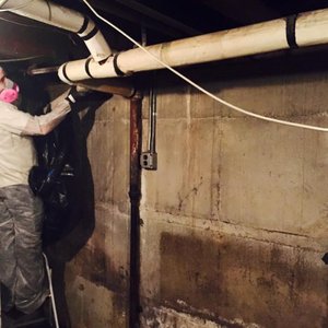 ECOSHIELD PEST SOLUTIONS - Updated December 2025 - 71 Photos & 345 ...