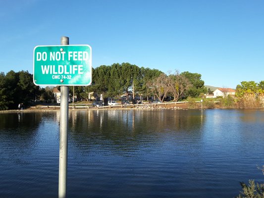 NEWHALL COMMUNITY PARK - 202 Photos & 90 Reviews - Dog Parks - Turtle ...