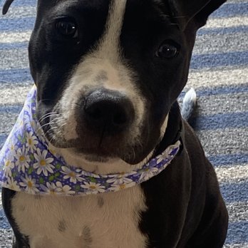 CARE STL - Updated January 2026 - 41 Photos & 15 Reviews - 2700 Walnut ...