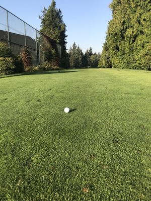 RAINIER GOLF & COUNTRY CLUB - Updated December 2025 - 11 Photos - 11133 ...