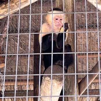 ZOOLOGICAL WILDLIFE FOUNDATION - 850 Photos & 236 Reviews - 16225 SW ...