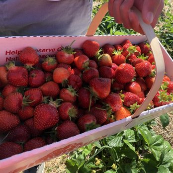 FOUR TOWN FARM - Updated June 2025 - 126 Photos & 83 Reviews - 90 ...