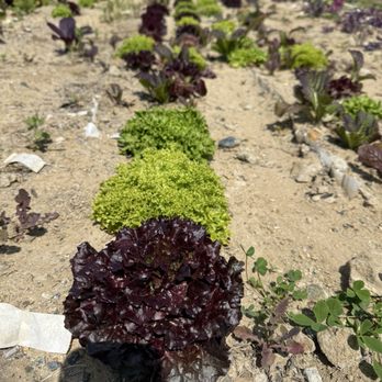 FOX POINT FARMS - Updated October 2025 - 427 Photos & 157 Reviews ...