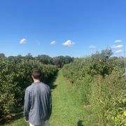 HOLMBERG ORCHARDS - 233 Photos & 83 Reviews - 12 Orchard Ln, Gales ...