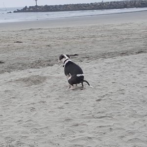 CIF - CENTRAL ISSUE FACILITY - Updated April 2025 - 13 Photos - 1333 ...