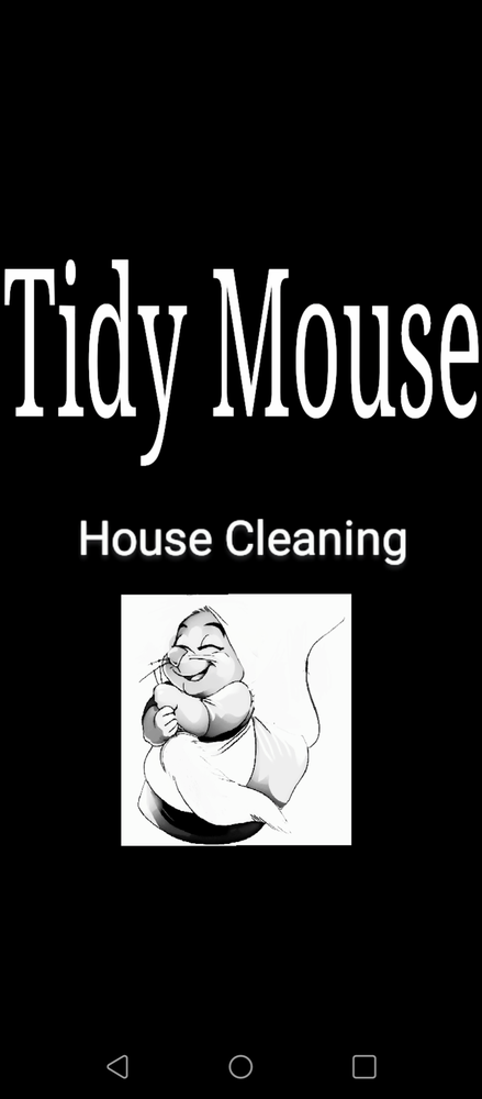 TIDY MOUSE HOUSE CLEANING - Request a Quote - Andrews, South Carolina ...