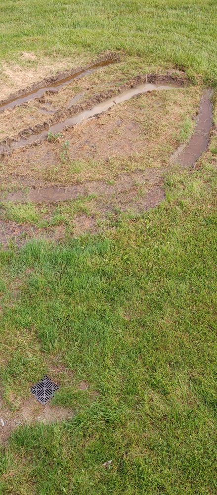 PRO CUT LANDSCAPING - Updated May 2026 - 45 Photos & 40 Reviews - 11 ...