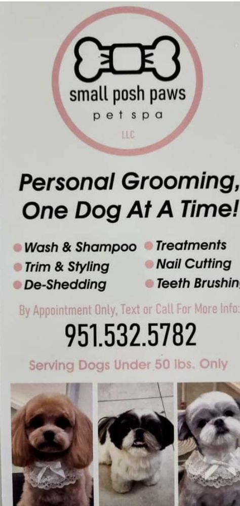 SMALL POSH PAWS PET SPA - Updated February 2025 - Riverside, California ...