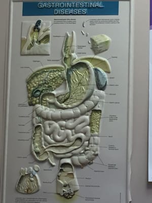 SCOTT TENNER, MD - Updated October 2025 - 13 Reviews - 2211 Emmons Ave ...