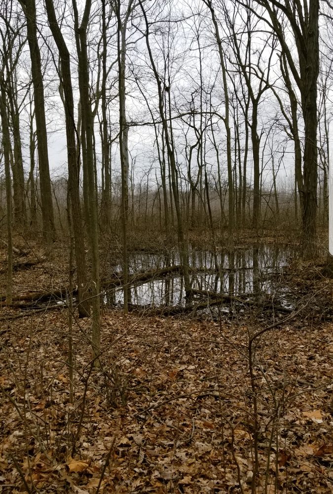 DRAPER-HOUSTON MEADOWS PRESERVE - Updated July 2025 - 30 Photos - 578 ...