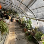 THE GREENHOUSE BAR - 304 Photos & 269 Reviews - 2211 Bandywood Dr ...