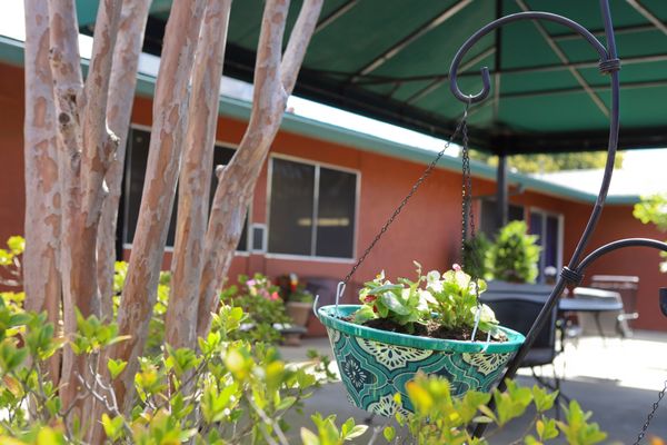 WINDSOR HAMPTON CARE CENTER - Updated December 2025 - 13 Photos & 38 ...