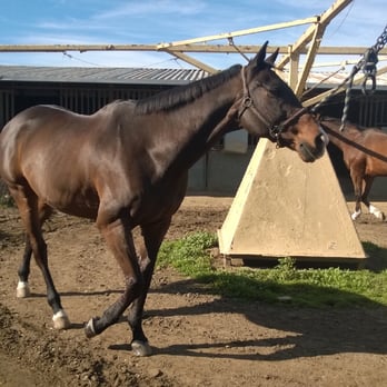 FIRST FIELD FARM - Updated December 2025 - 20 Photos & 17 Reviews ...