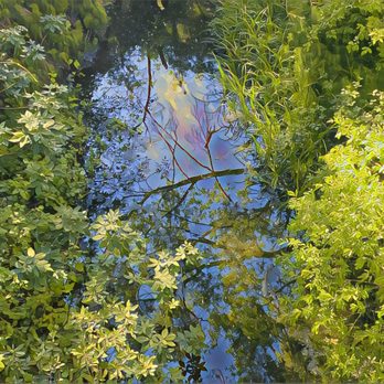 PINOLE VALLEY PARK - Updated October 2025 - 22 Photos - 3790 Pinole ...