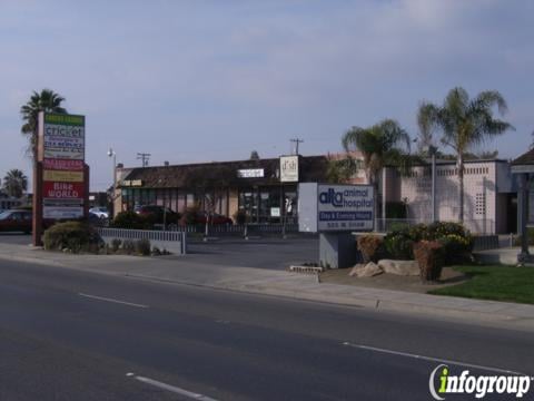 ALTA ANIMAL HOSPITAL - Updated December 2025 - 18 Photos & 69 Reviews ...