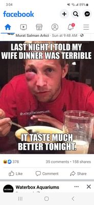 AQUA HUT - Updated December 2025 - 12 Photos & 40 Reviews - 264 Middle ...