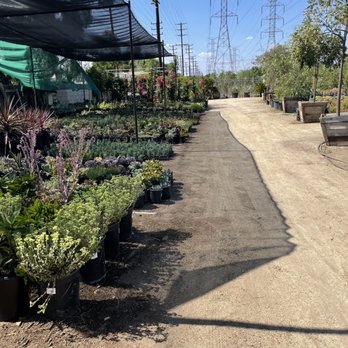 GREEN VALLEY GROWERS WHOLESALE NURSERIES - Updated September 2024 - 92 ...