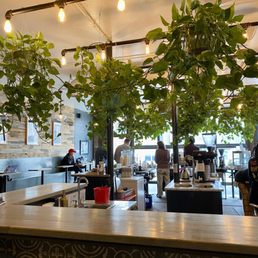 AVIANO COFFEE - Updated July 2025 - 488 Photos & 625 Reviews - 244 ...