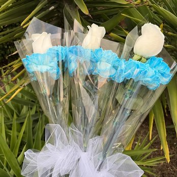 HAYWARD FLOWERS - Updated January 2026 - 333 Photos & 89 Reviews ...